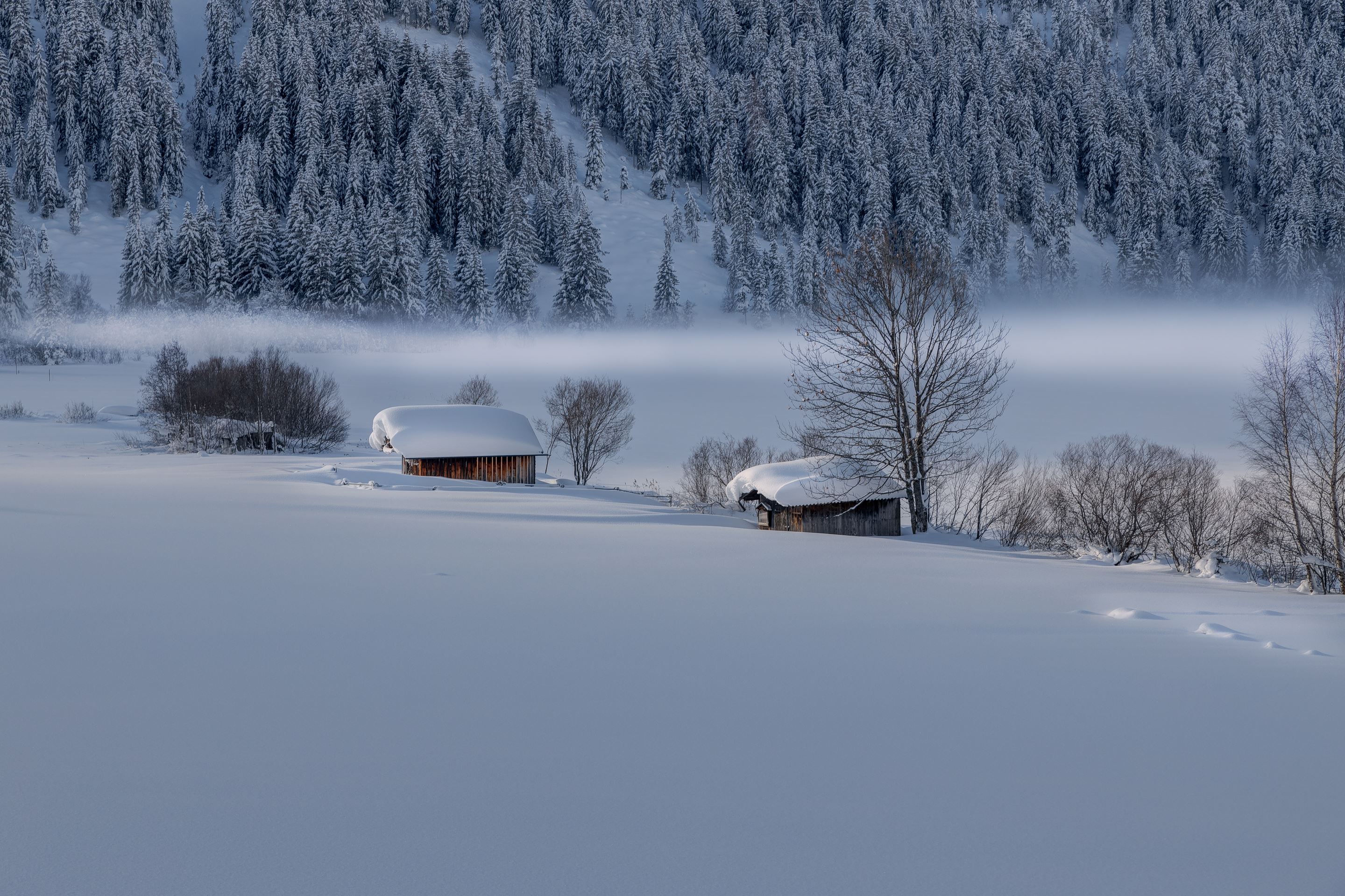 Winter holiday in the Tannheim valley: A paradise for multi-sportsmen